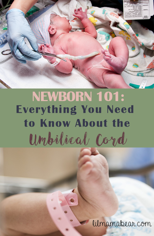 Newborn 101: Everything You Need to Know About the Umbilical Cord – Lil ...