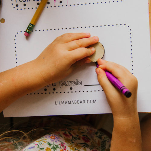 Sight Word Books: “I Can See” Book A | Beginner Sight Words for ...