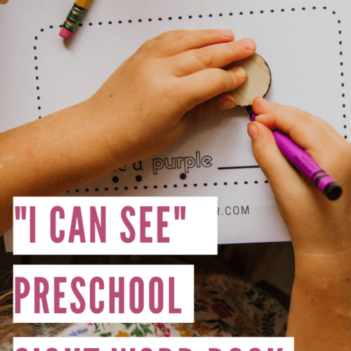 Sight Word Books: “I Can See” Book A | Beginner Sight Words for ...