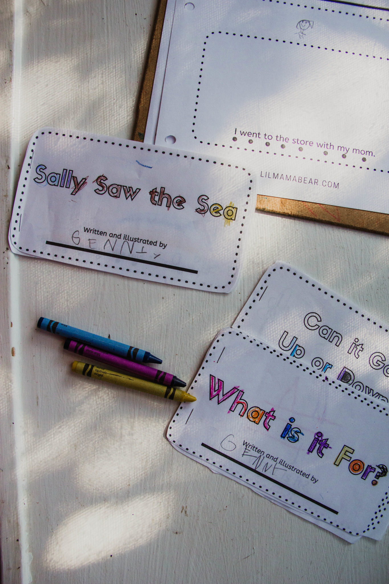 Sight Word Books: “Sally Saw the Sea” Book P | Beginner Sight Words for ...