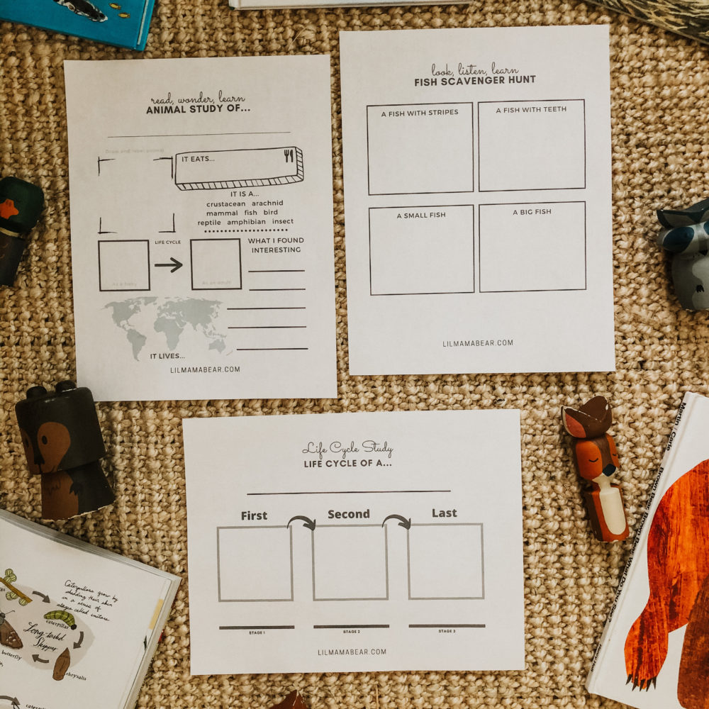 Science Lab Sheets Bundle | 10 Printables | How to Study the World ...