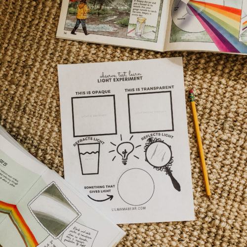 Science Lab Sheets Bundle | 10 Printables | How to Study the World ...