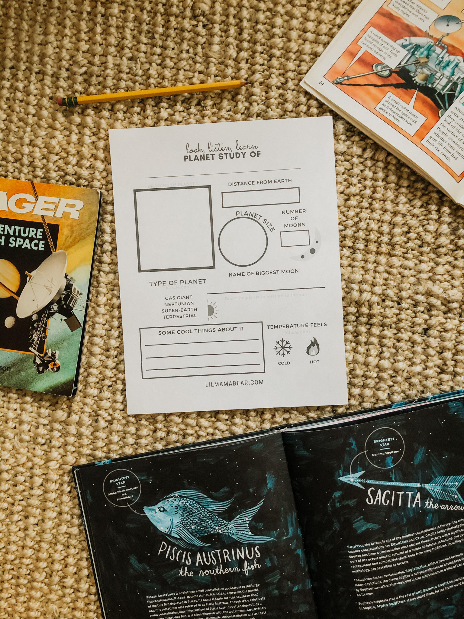 Science Lab Sheets Bundle | 10 Printables | How to Study the World ...