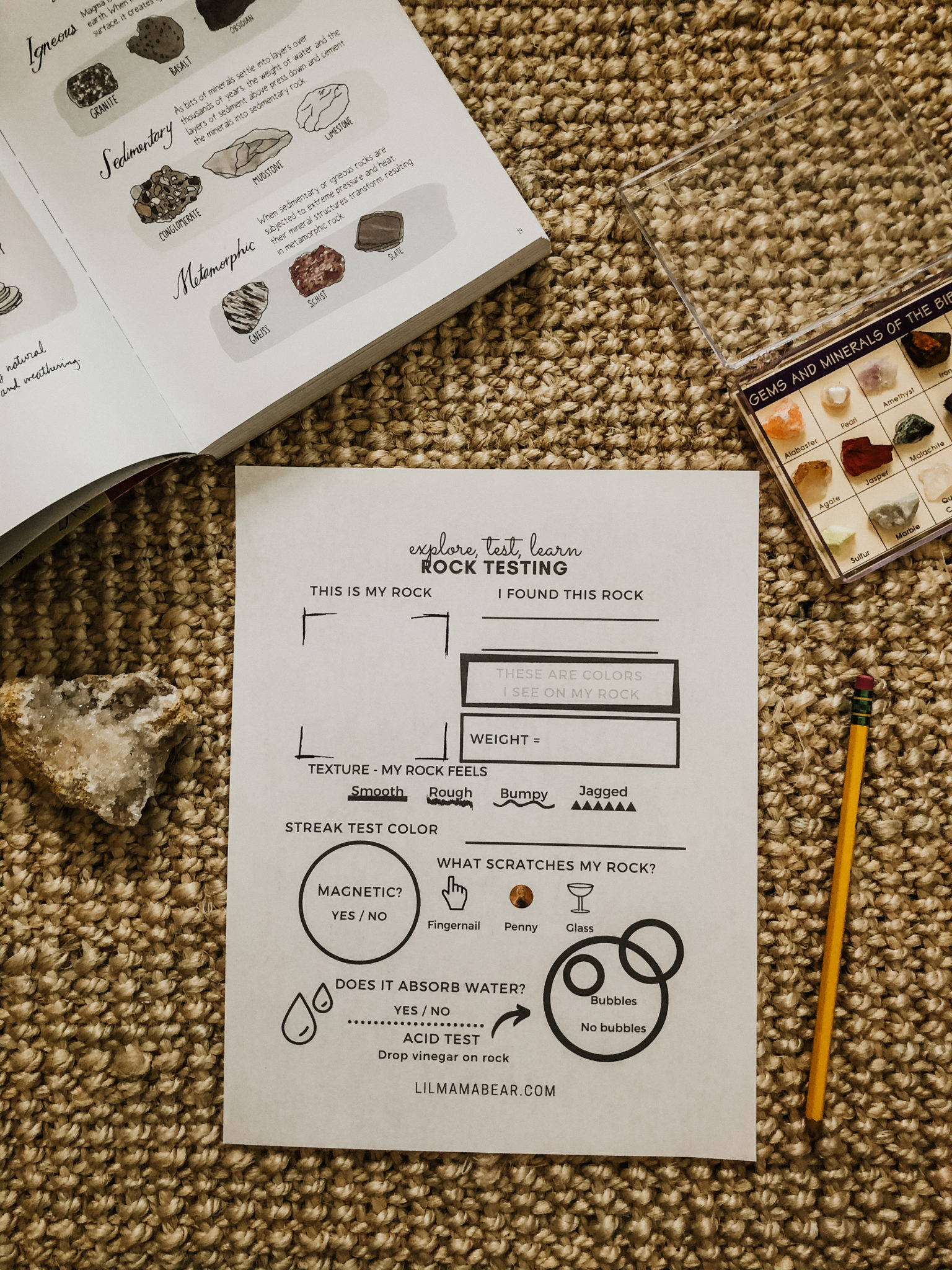 Science Lab Sheets Bundle | 10 Printables | How to Study the World ...