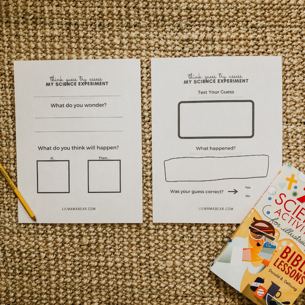 Science Lab Sheets Bundle | 10 Printables | How to Study the World ...
