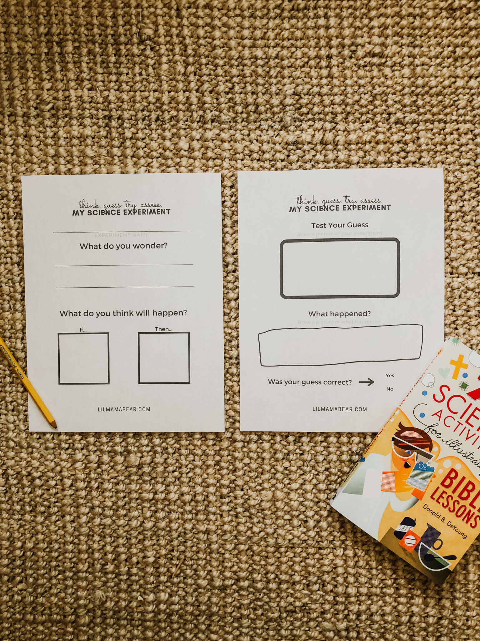 Science Lab Sheets Bundle | 10 Printables | How to Study the World ...