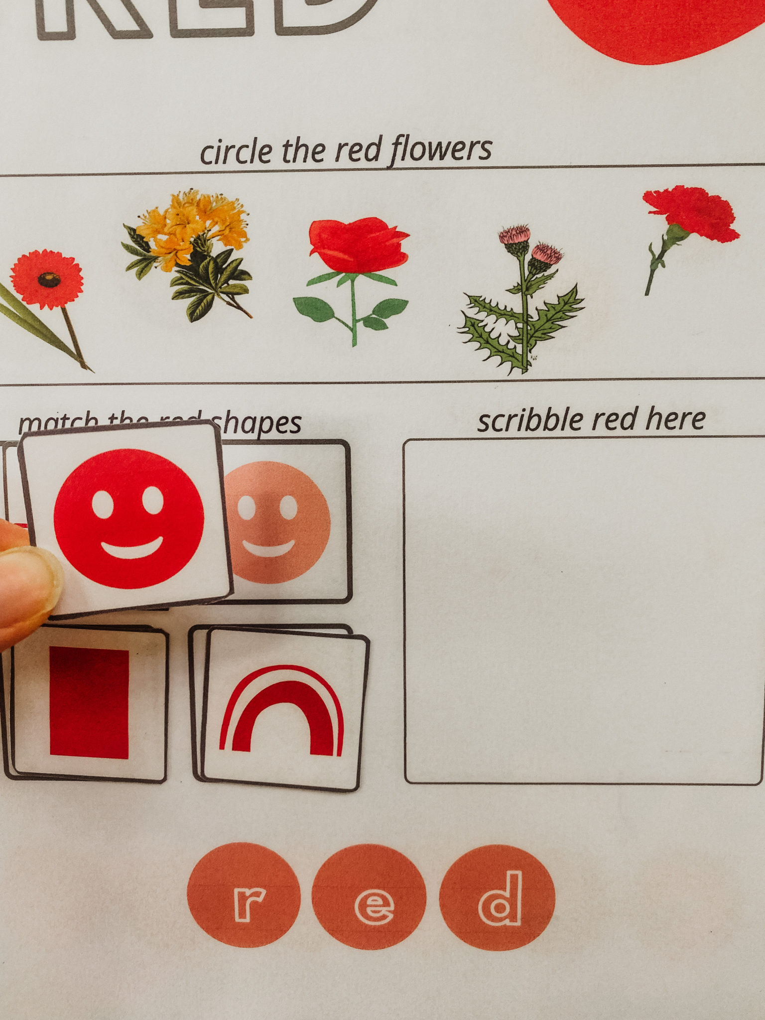 Learn the Colors of the Rainbow Packet | Preschool Printable | My First ...