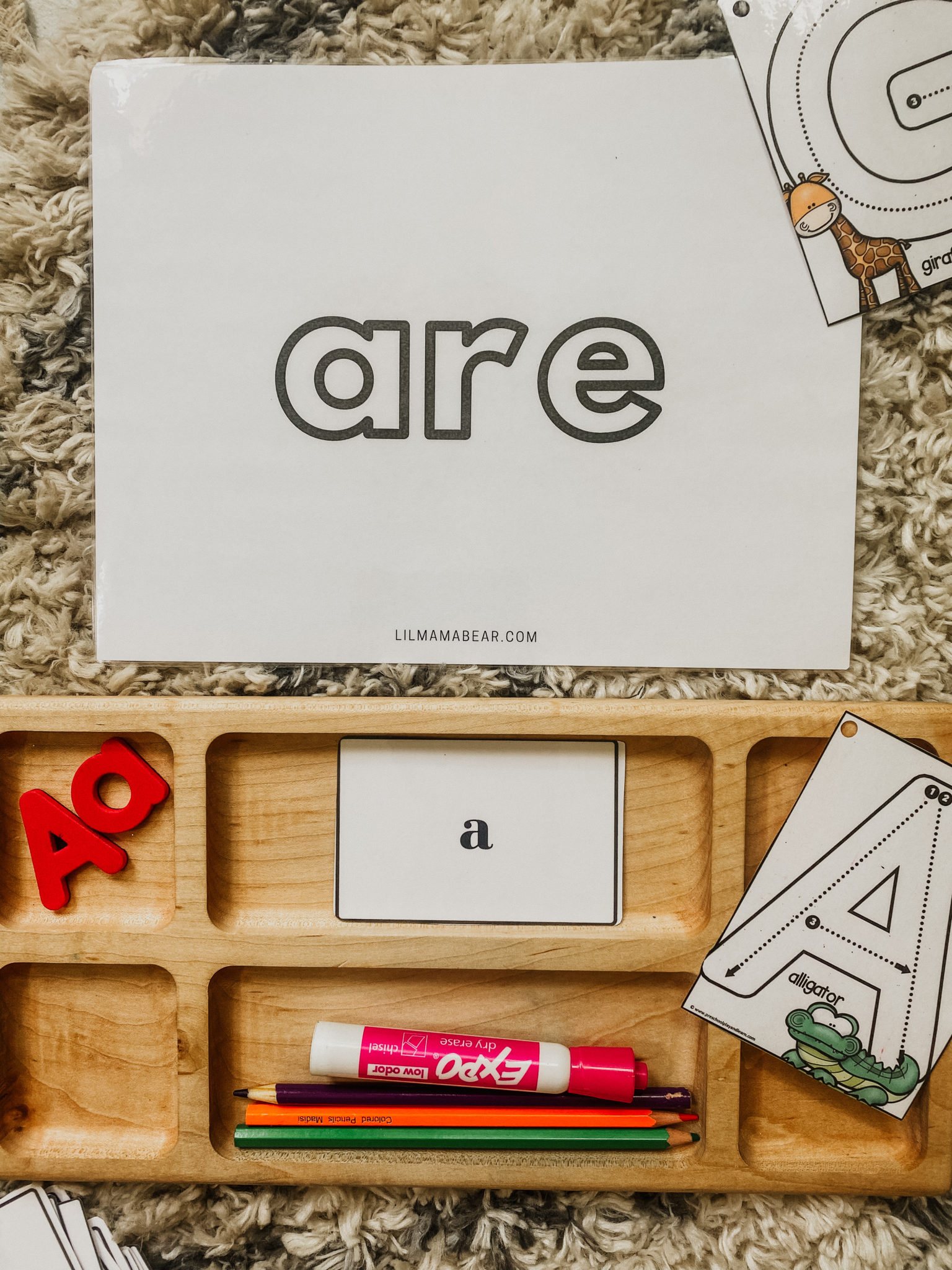 Alphabet Phonogram Cards | 26 Double-Sided ABC Flashcards Words for ...