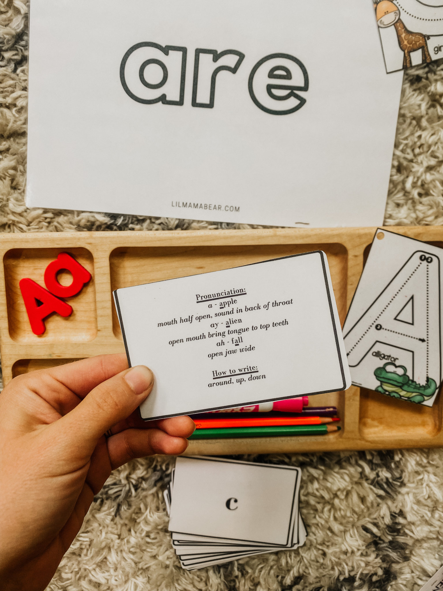 Alphabet Phonogram Cards | 26 Double-Sided ABC Flashcards Words for ...